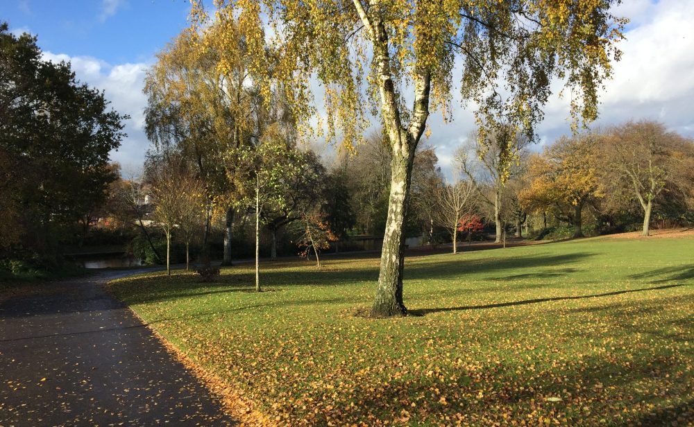Hodge Hill District: Washwood Heath Ward - Photos - for-Wards